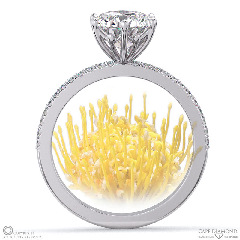 Fynbos Pincushion Flower Raised Setting On Petit Lab Grown Diamond Pavé ...
